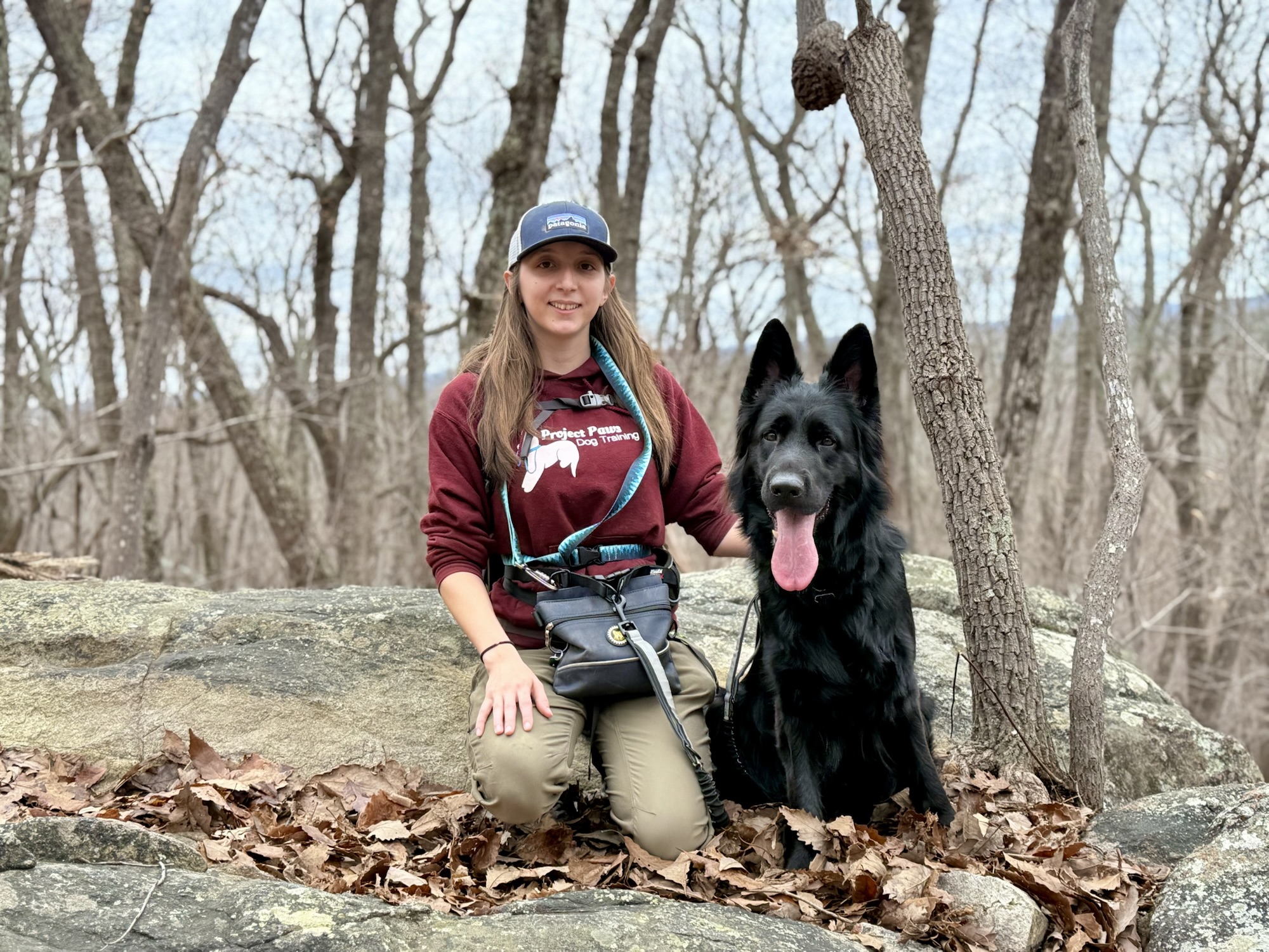 Project Paws Dog Training